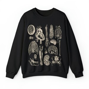 Medical Anatomy Sweater, Human Body Sweatshirt, Bones Heart, Anatomical ...