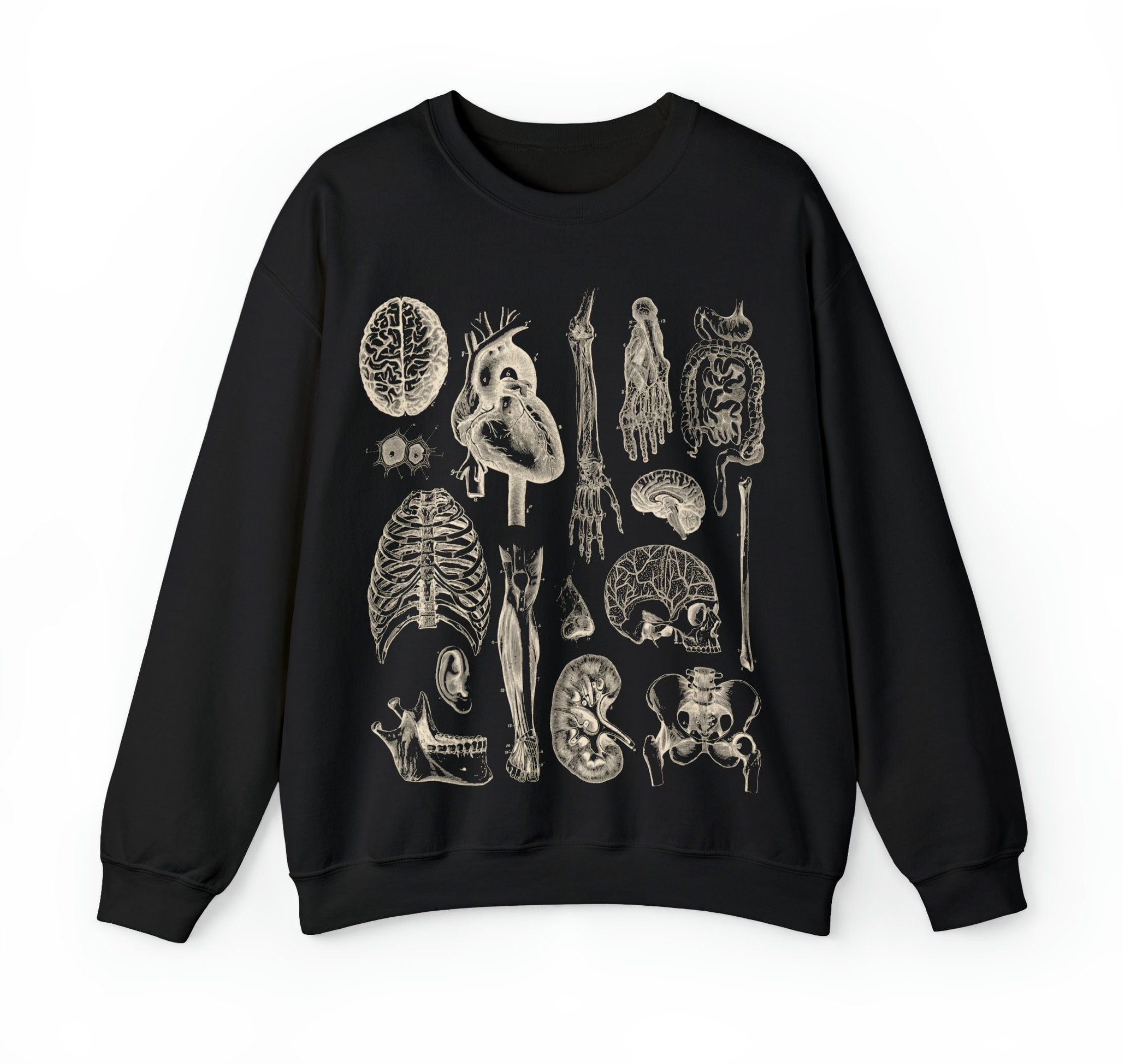 Medical Illustration Sweater, Anatomy Vintage Sweatshirt, Anatomical ...