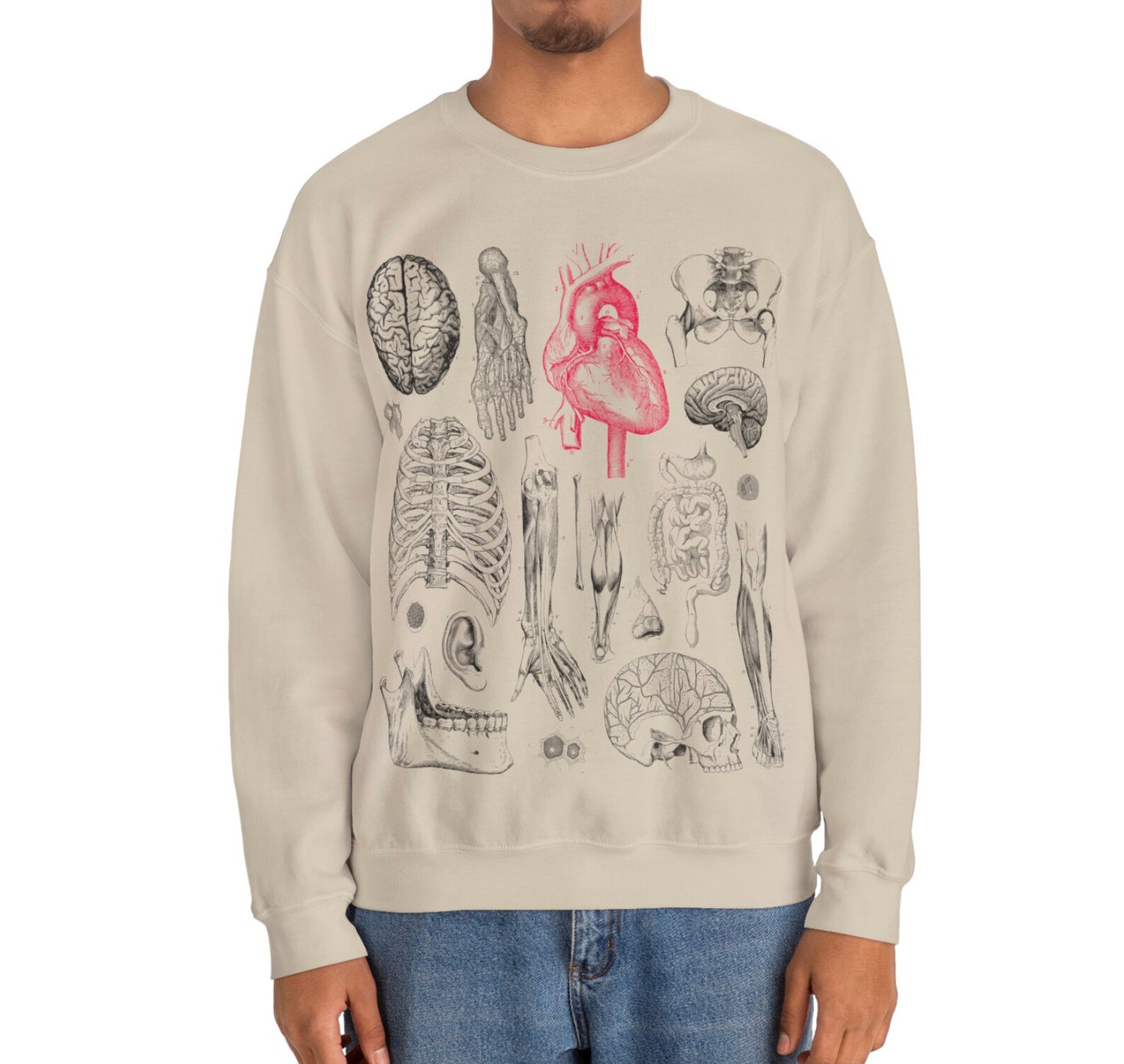 Heart Anatomy Sweatshirt, Human Bones Anatomical Art, Science Gifts for ...