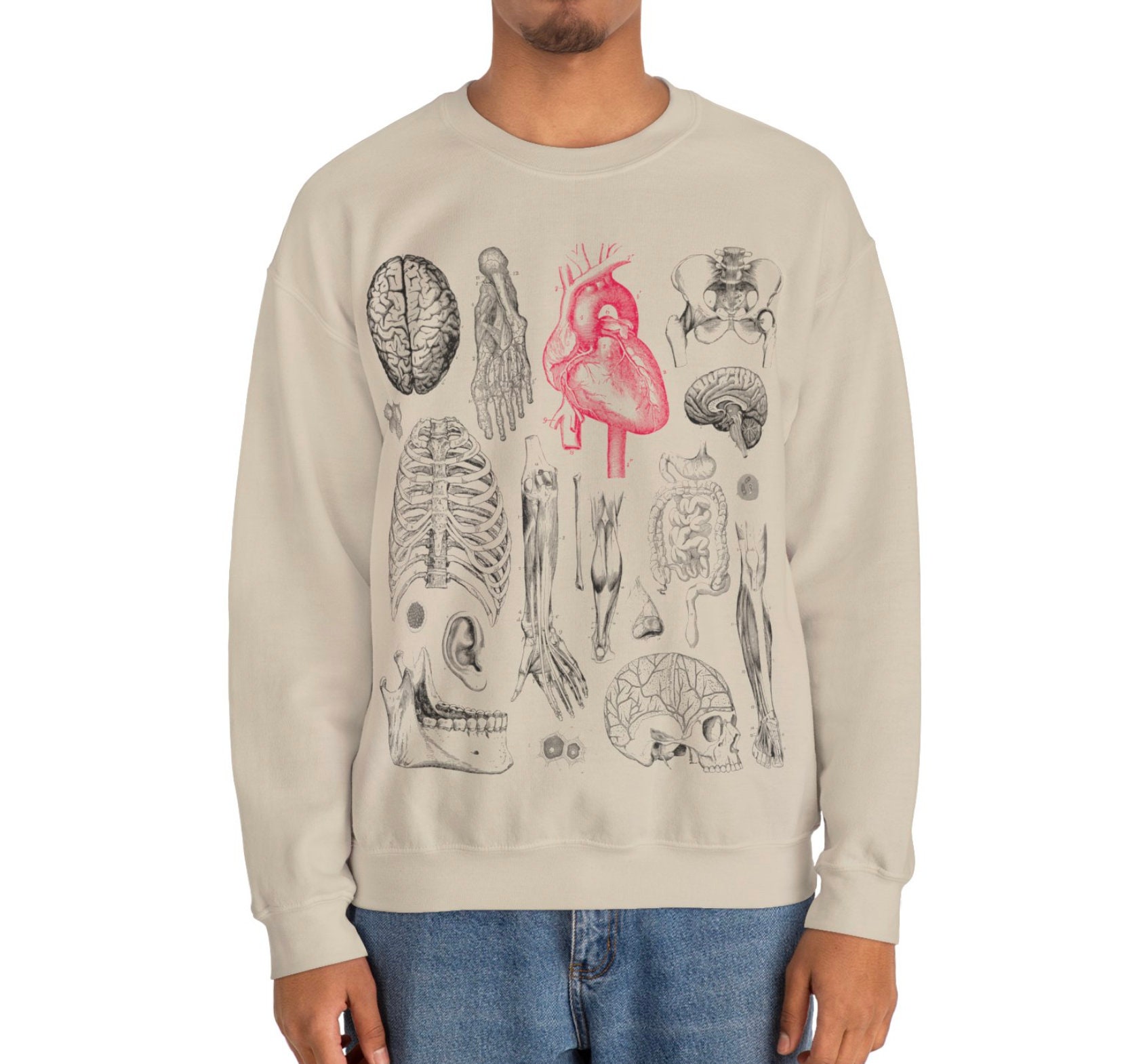 Heart Anatomy Sweatshirt, Human Bones Anatomical Art, Science Gifts for ...