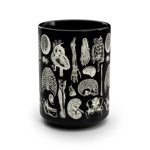 Anatomy Vintage Mug, Medical Illustration, Science Style Anatomical Art ...