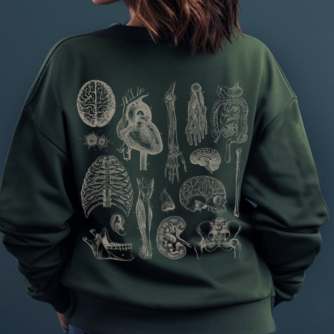 Anatomy Sweatshirt Nurse Gift, Anatomical Art, Medical Illustration ...