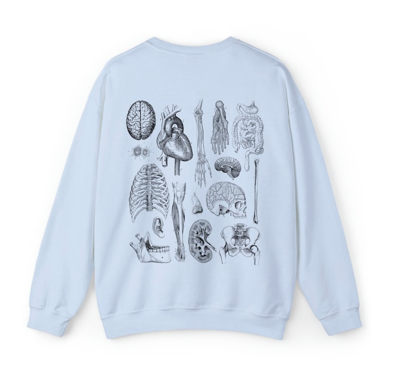 Anatomy Bones Sweatshirt for Med Students - Anatomical Art Sweater ...