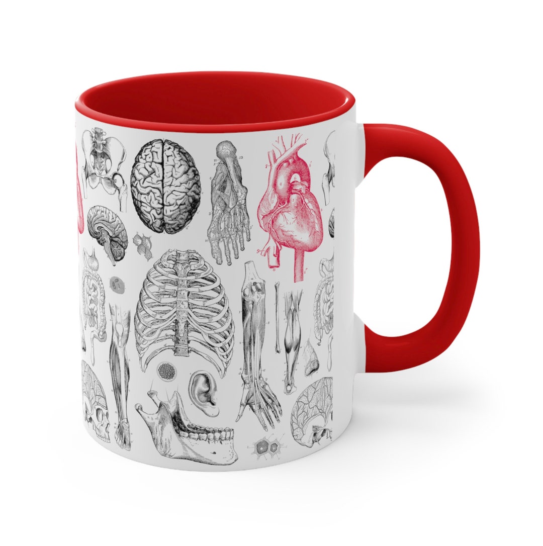 Heart Anatomy Mug, Valentines Gift Heart Surgeon Science Anatomical Art ...