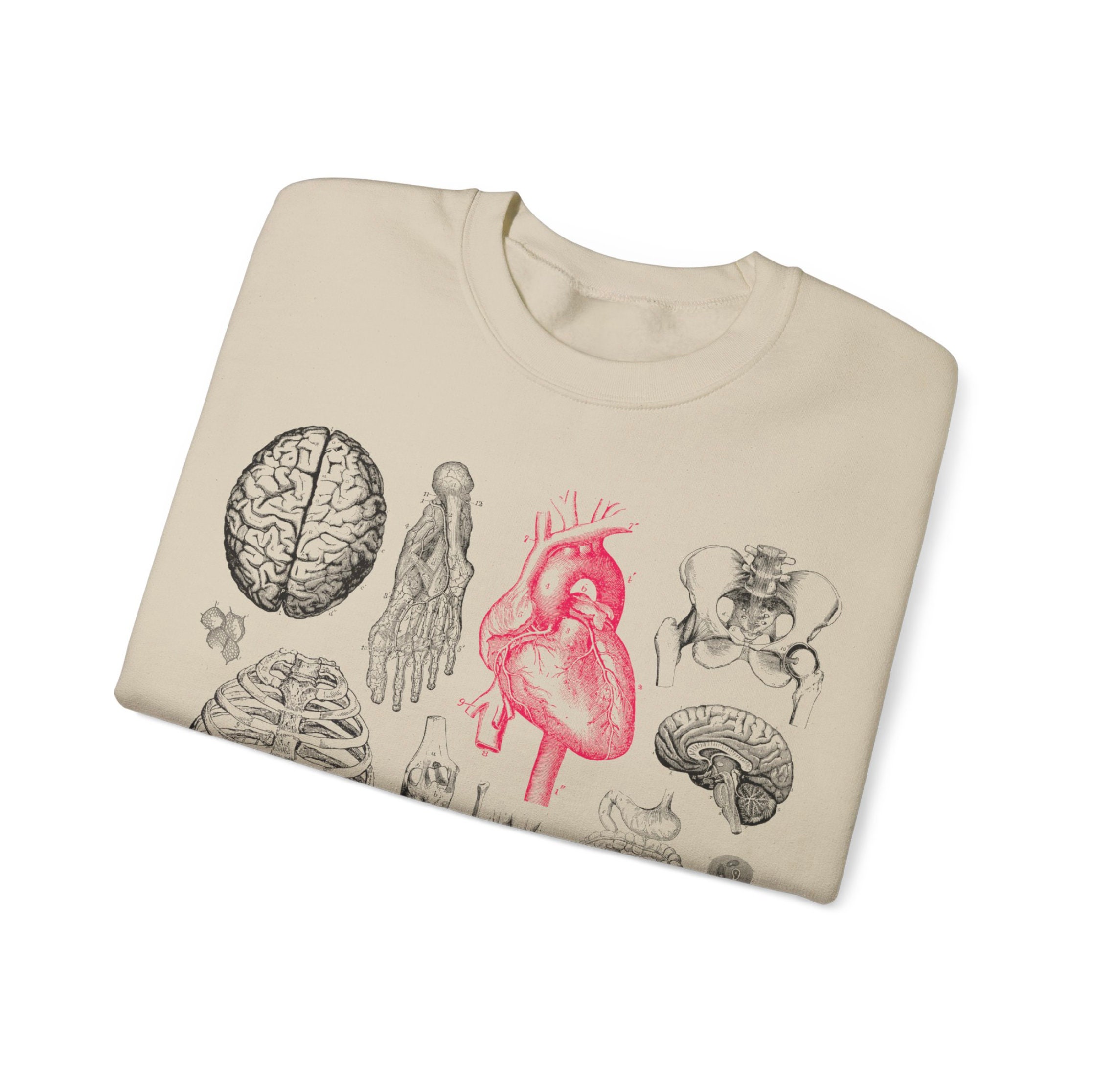 Heart Anatomy Sweatshirt, Human Bones Anatomical Art, Science Gifts for ...
