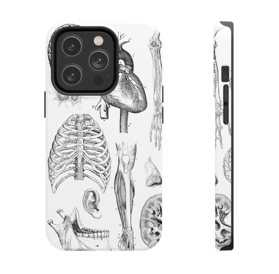 Anatomy Medical Case, Body Parts Bones, Gifts for Preceptors, Human ...