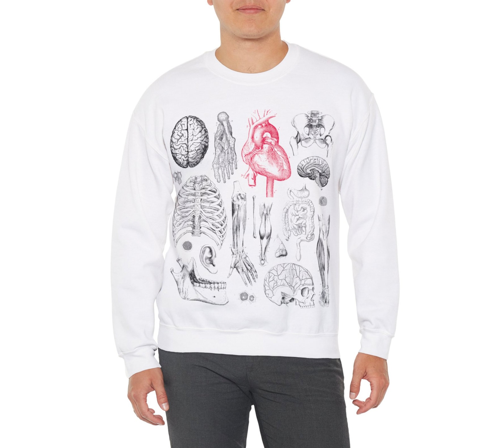 Heart Anatomy Sweatshirt, Human Bones Anatomical Art, Science Gifts for ...