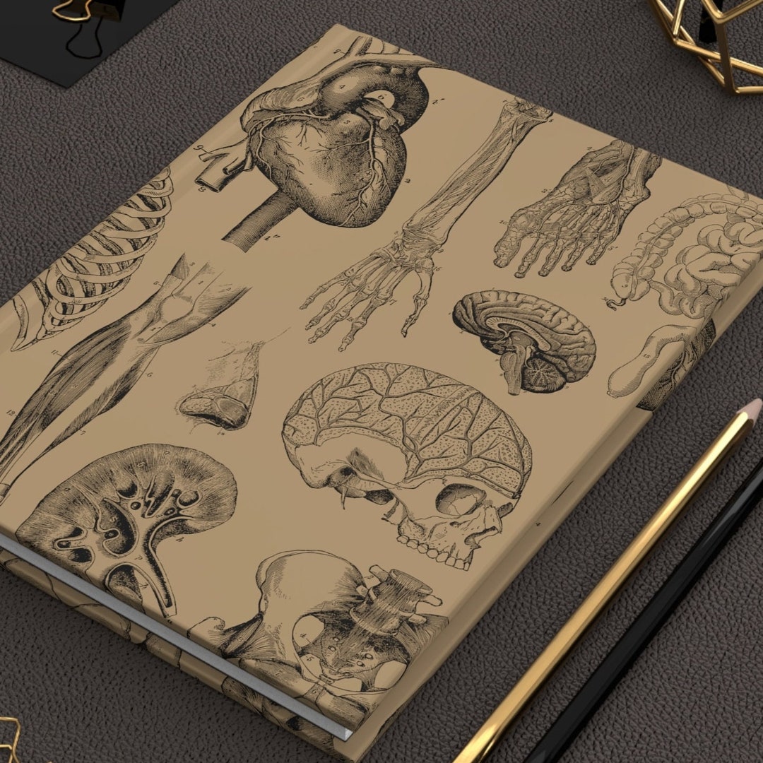 Bones Anatomy Journal, Gifts for Preceptors, Antique Science ...