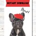 Cute Frenchie Bulldog Thank You Card, Printable, Minimalist, Digital ...