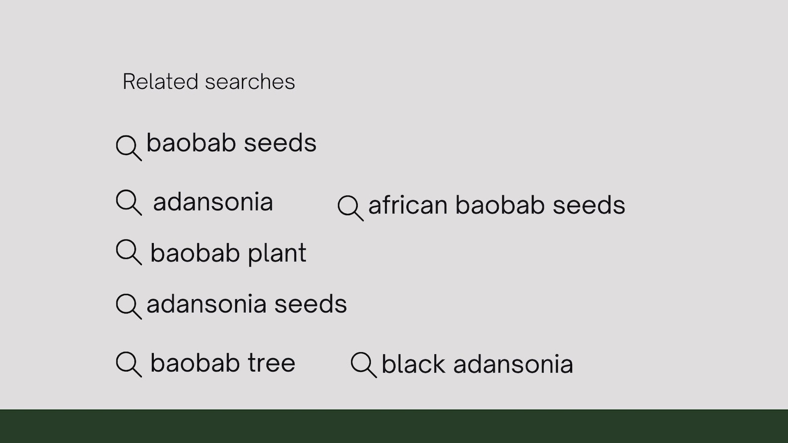 Baobab Seeds (adansonia Digitata): Grow Your Own Natural Oasis With Our ...