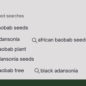 Baobab Seeds (adansonia Digitata): Grow Your Own Natural Oasis With Our ...