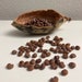 Baobab Seeds (adansonia Digitata): Grow Your Own Natural Oasis With Our ...