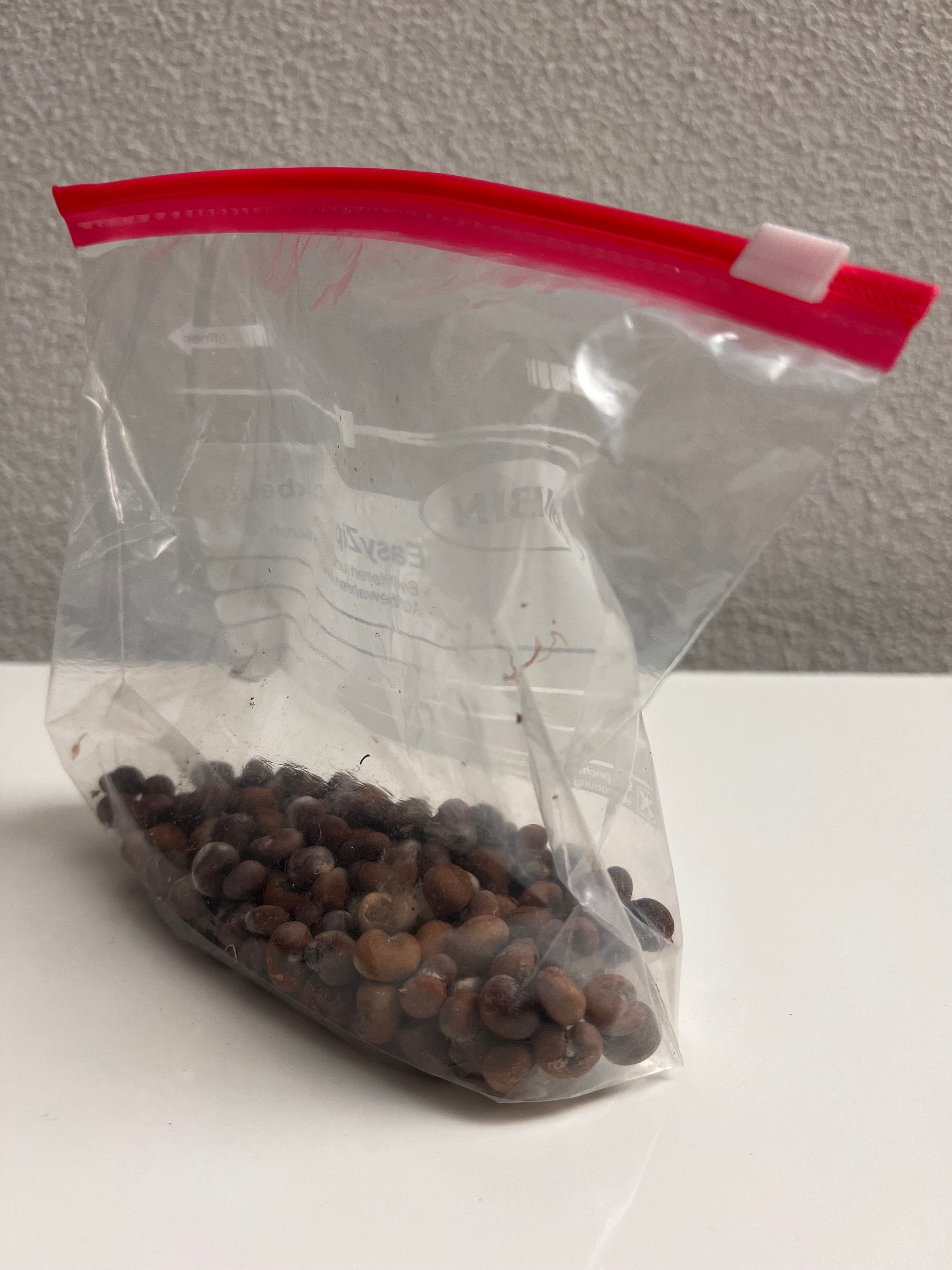 Baobab Seeds adansonia Digitata: Grow Your Own Natural Oasis With Our ...