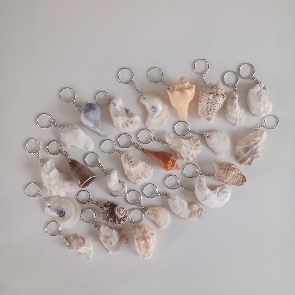 Seashell Purse - Etsy