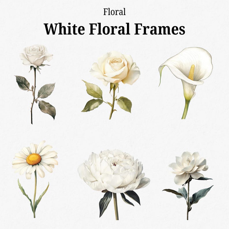 Watercolor White Flowers Border Frame Clipart, Floral Wedding Invite ...
