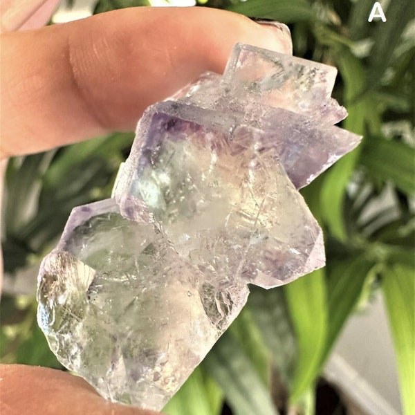 Fluorite Cubes - Etsy