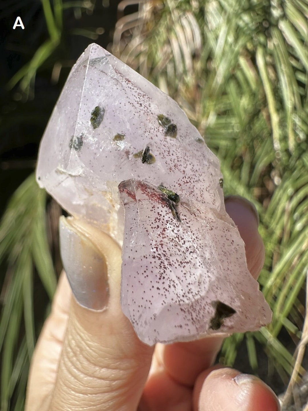 Amethyst Phantoms With Epidote Specimens - Small / Super Seven ...