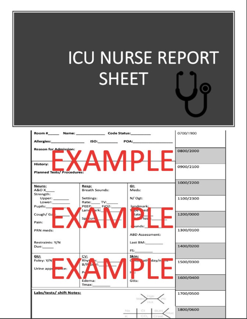 ICU Nurse Report Sheet - Etsy