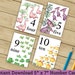 Number Flash Cards Printable Toddler Flash Card Learn How to - Etsy
