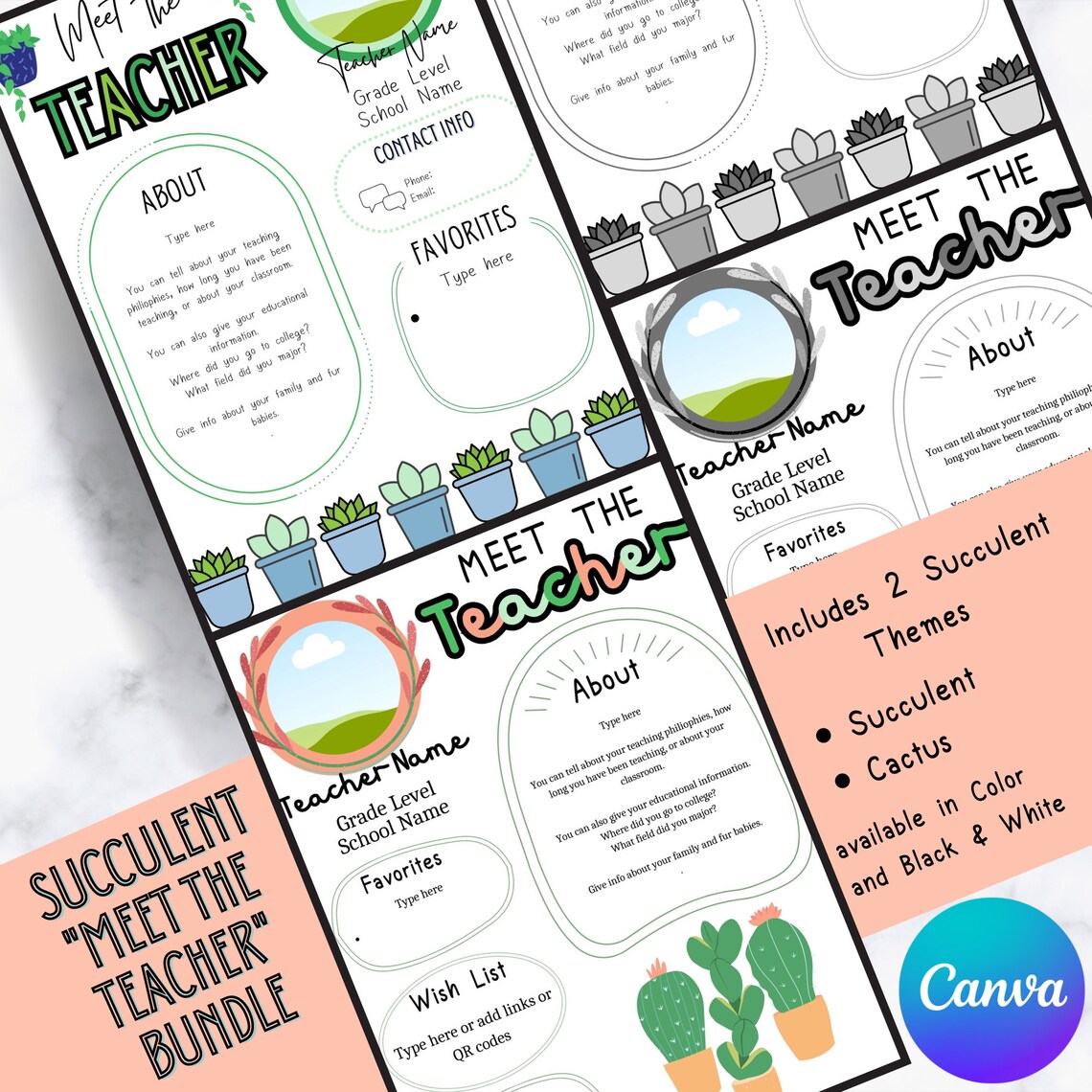 Succulent Meet the Teacher Canva Template Back to School Succulent ...