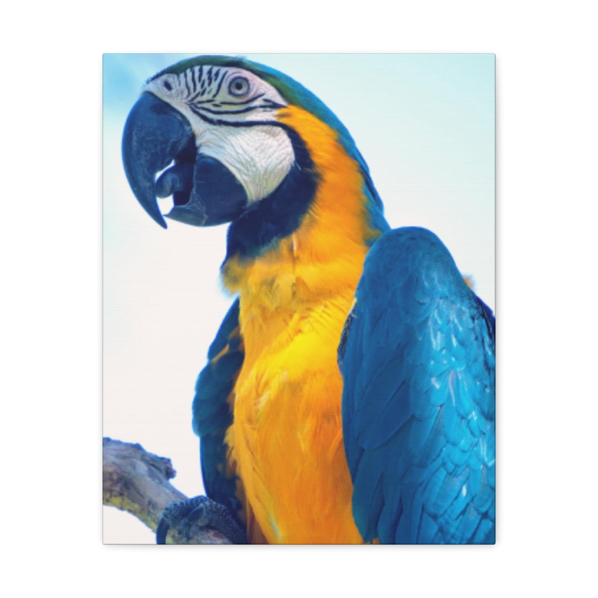 Parrot Canvas Print,colorful Parrot Picture,colorful Parrot Print ...