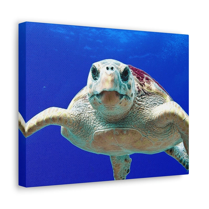 Sea Turtle Canvas Printsea Turtle Art Sea Life Turtle Art - Etsy