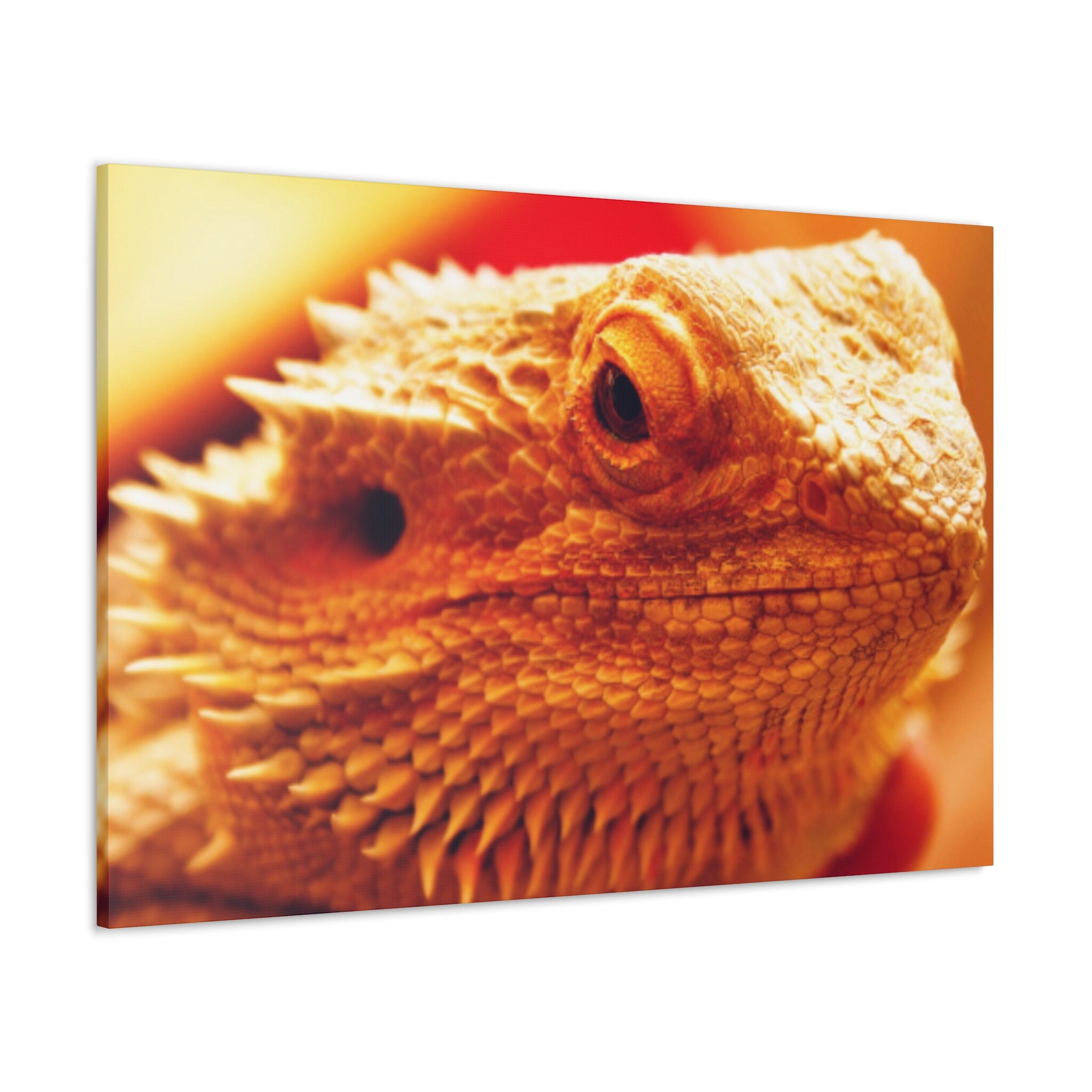Iguana Print Canvas,lizard Painting on Canvas,iguanas Decor Wall ...