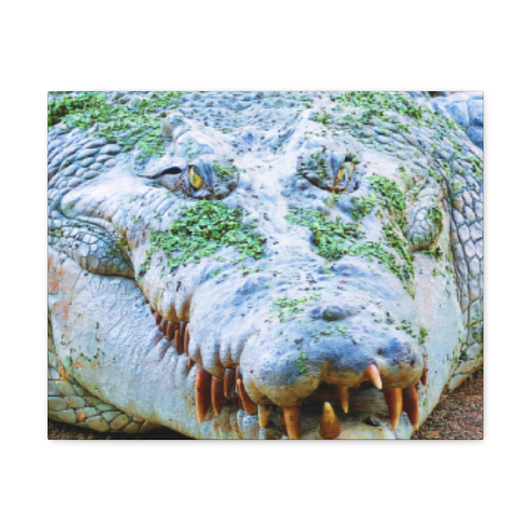 Crocodile Print,crocodile Wall Print,crocodile Decor,crocodile Print ...