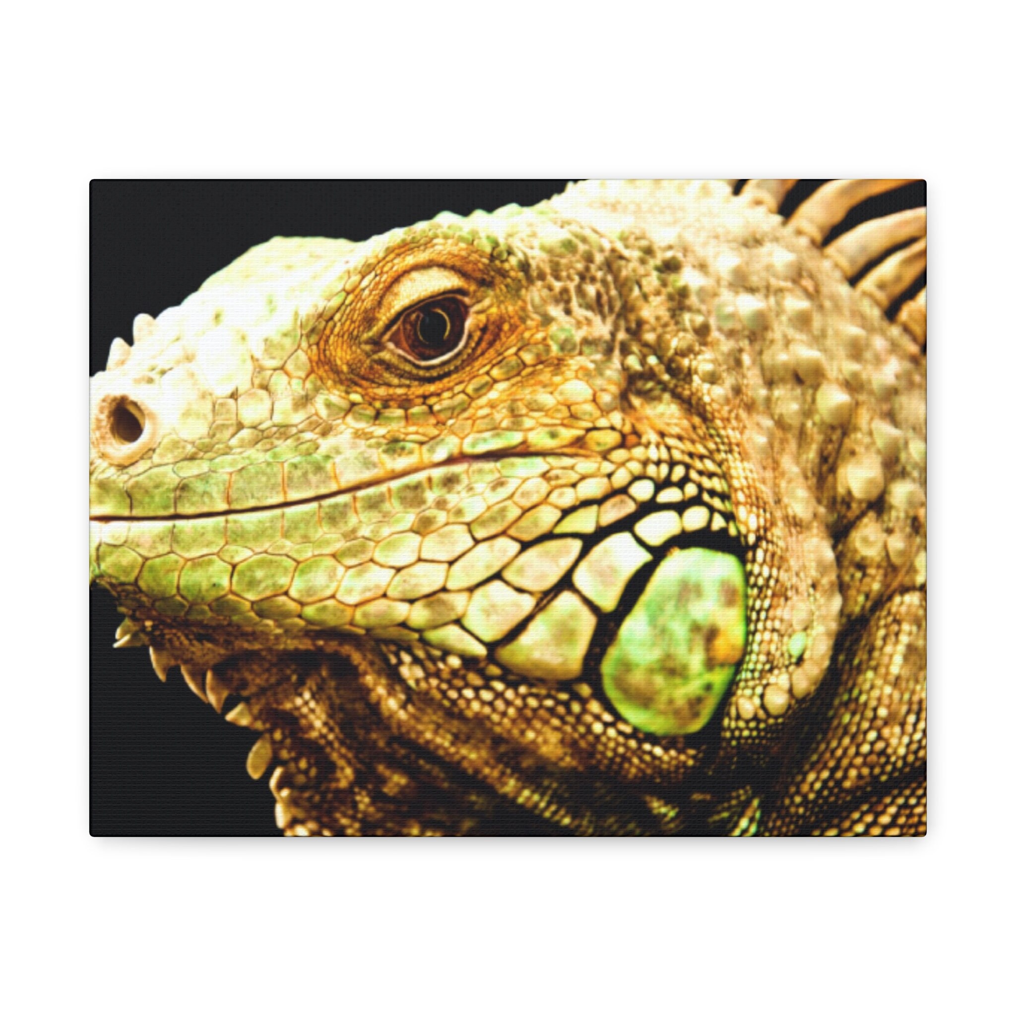 Iguana Print Canvas,lizard Painting on Canvas,iguanas Decor Wall ...