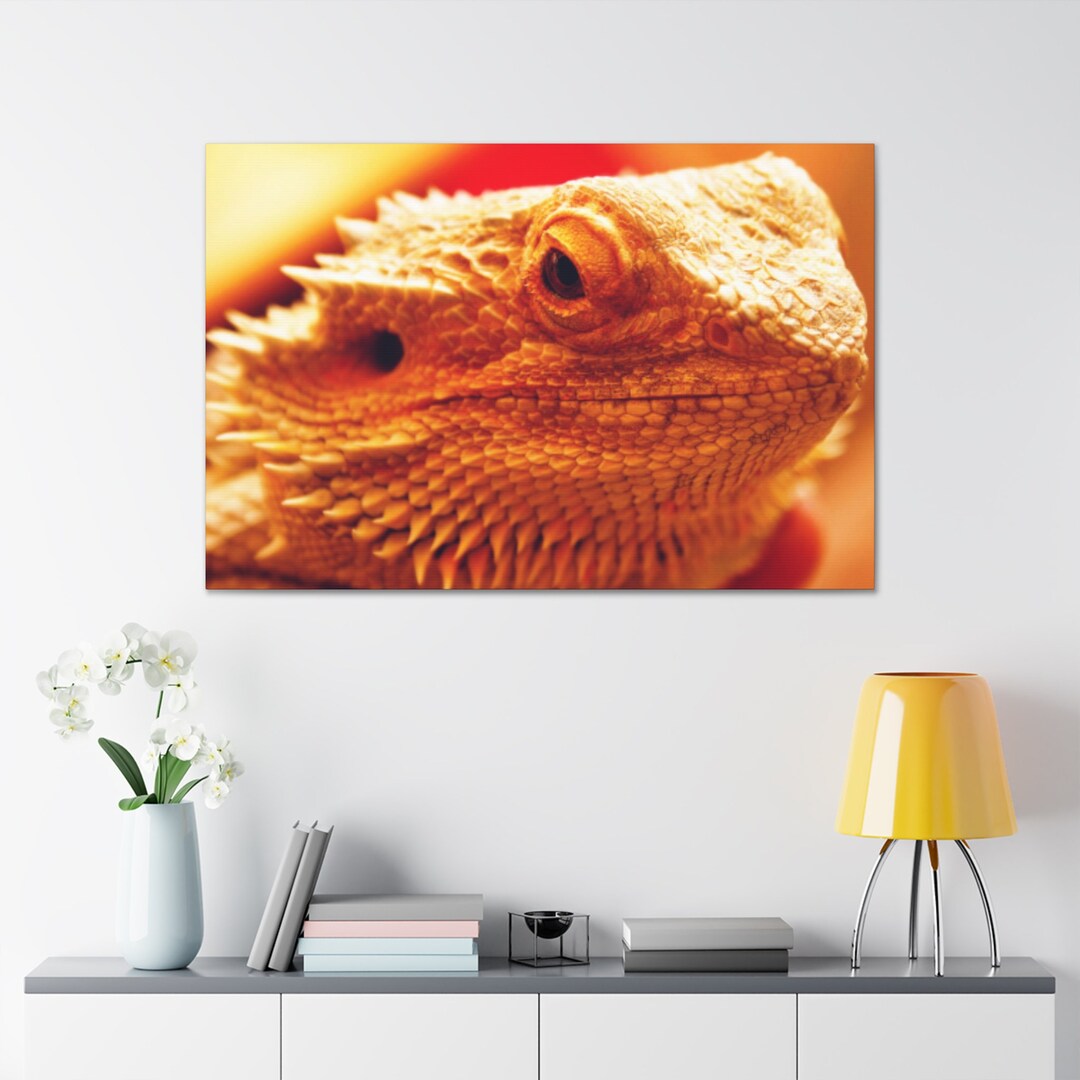 Iguana Print Canvas,lizard Painting on Canvas,iguanas Decor Wall ...