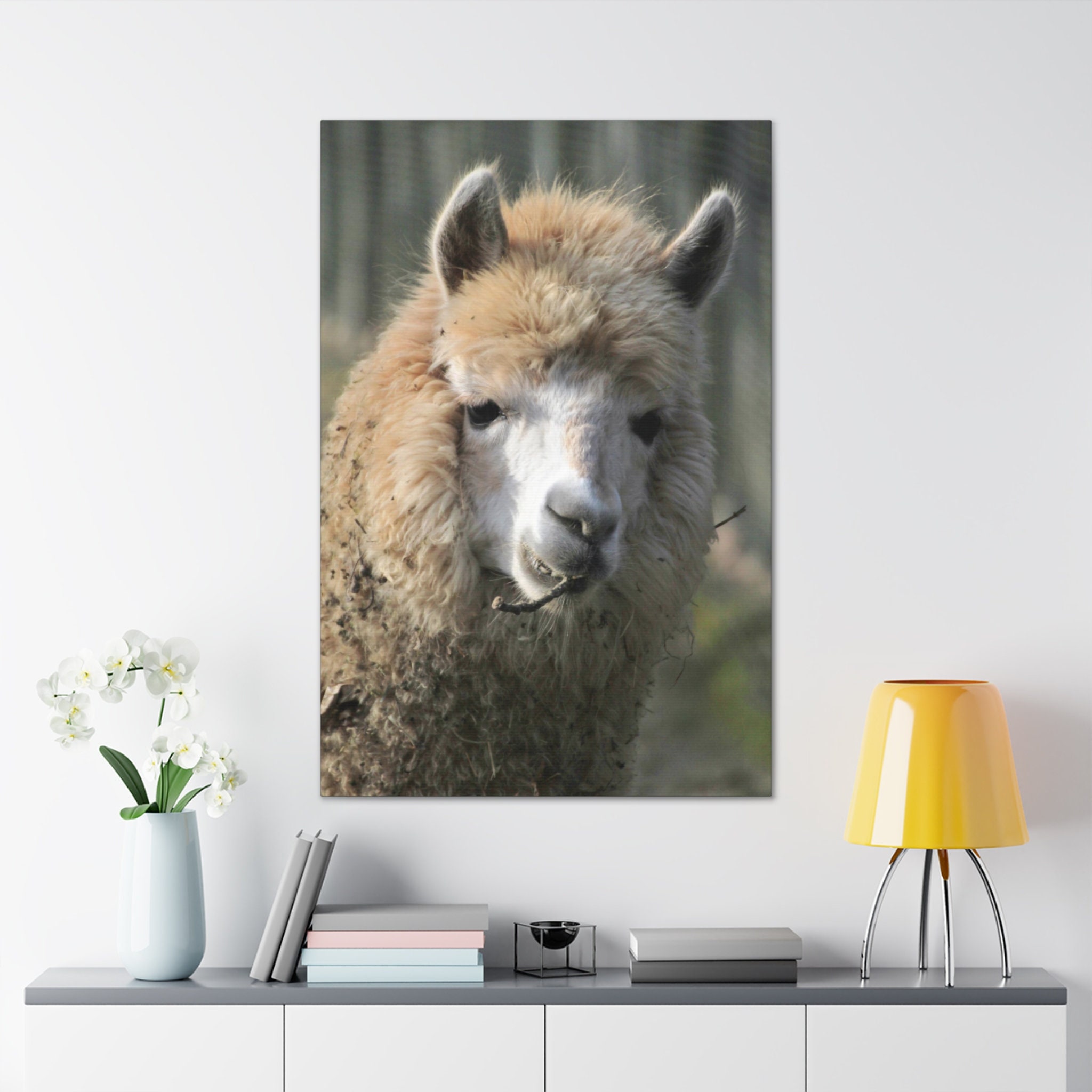 Llama Face Canvas Print,llama Canvas Wall Art,nursery Wall Art,llama ...