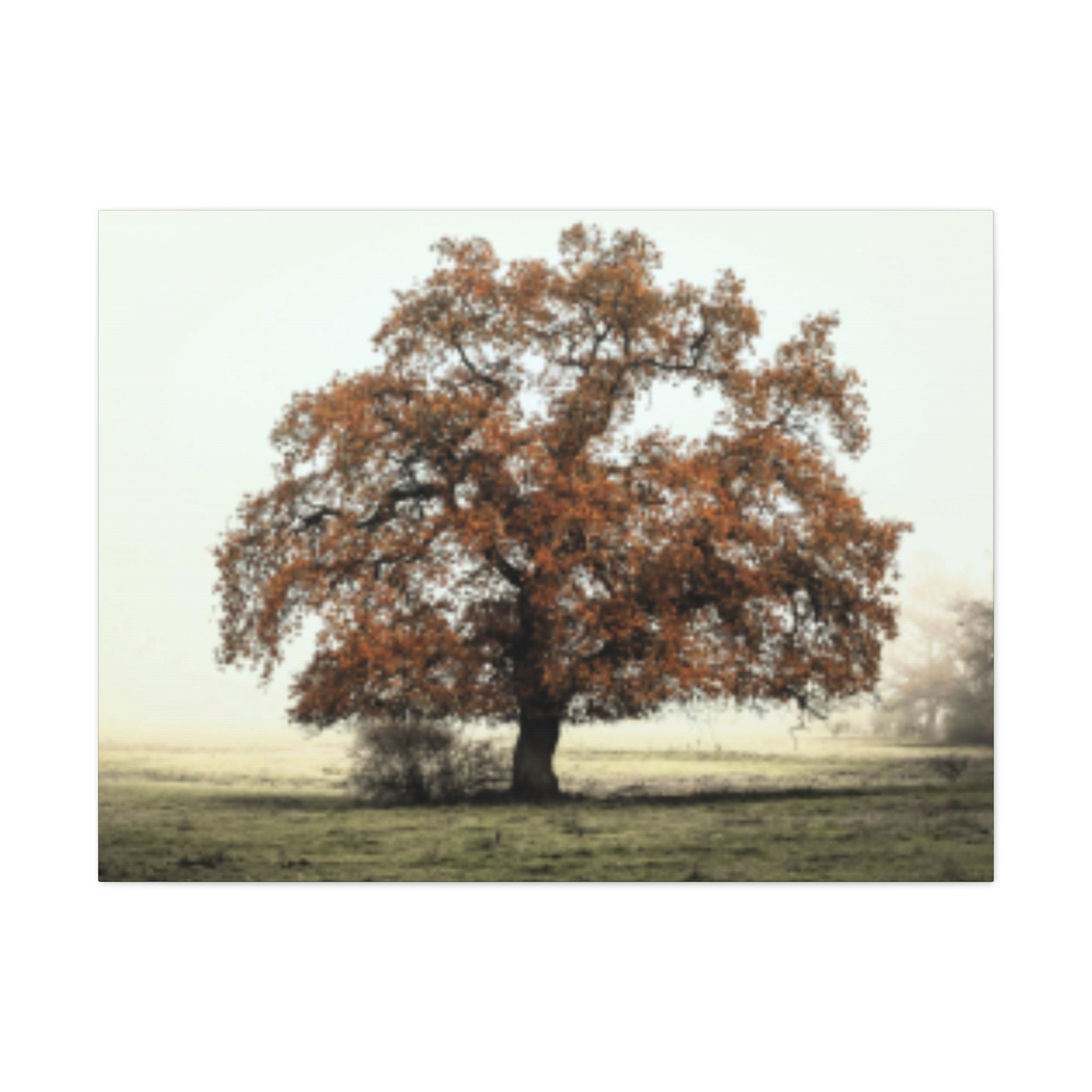 Big Old Oak Tree in the Fall,the Big Oak Tree Canvas Wall Art,landscape ...
