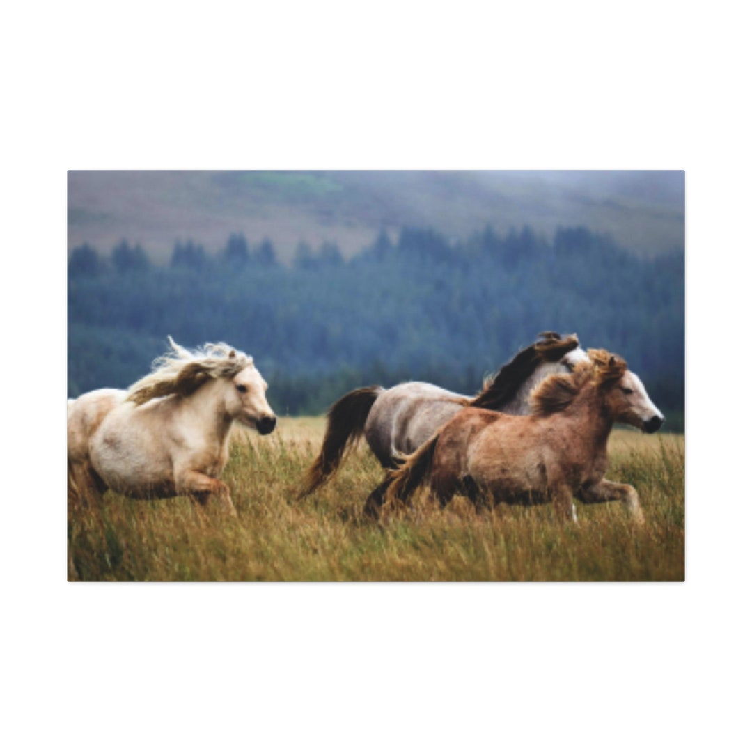Horses Running Canvas Print,horses Running Picture,horse Picture for ...