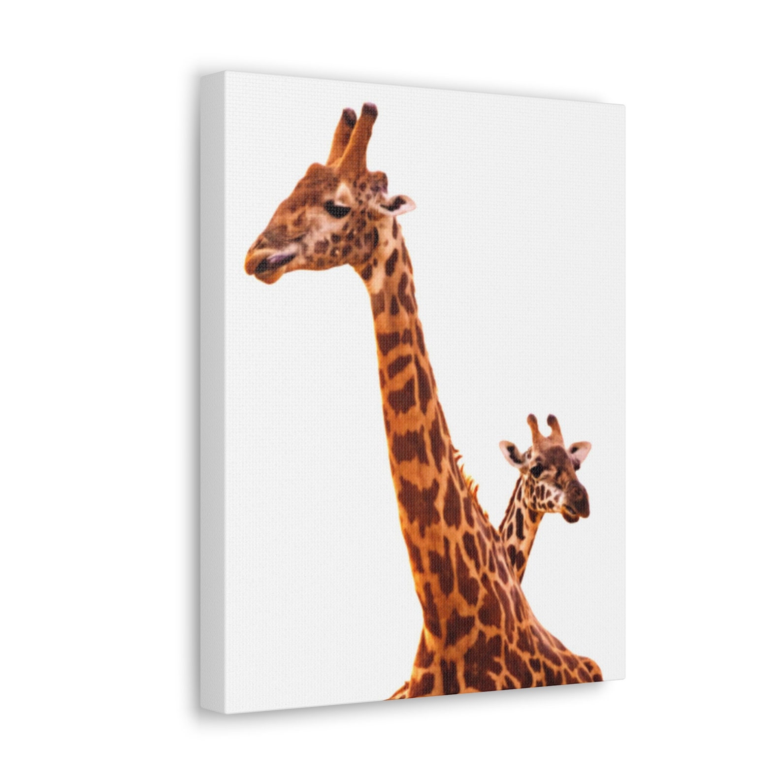 2 Giraffe Canvas Print,giraffes Canvas Wall Art,african Wall Art ...