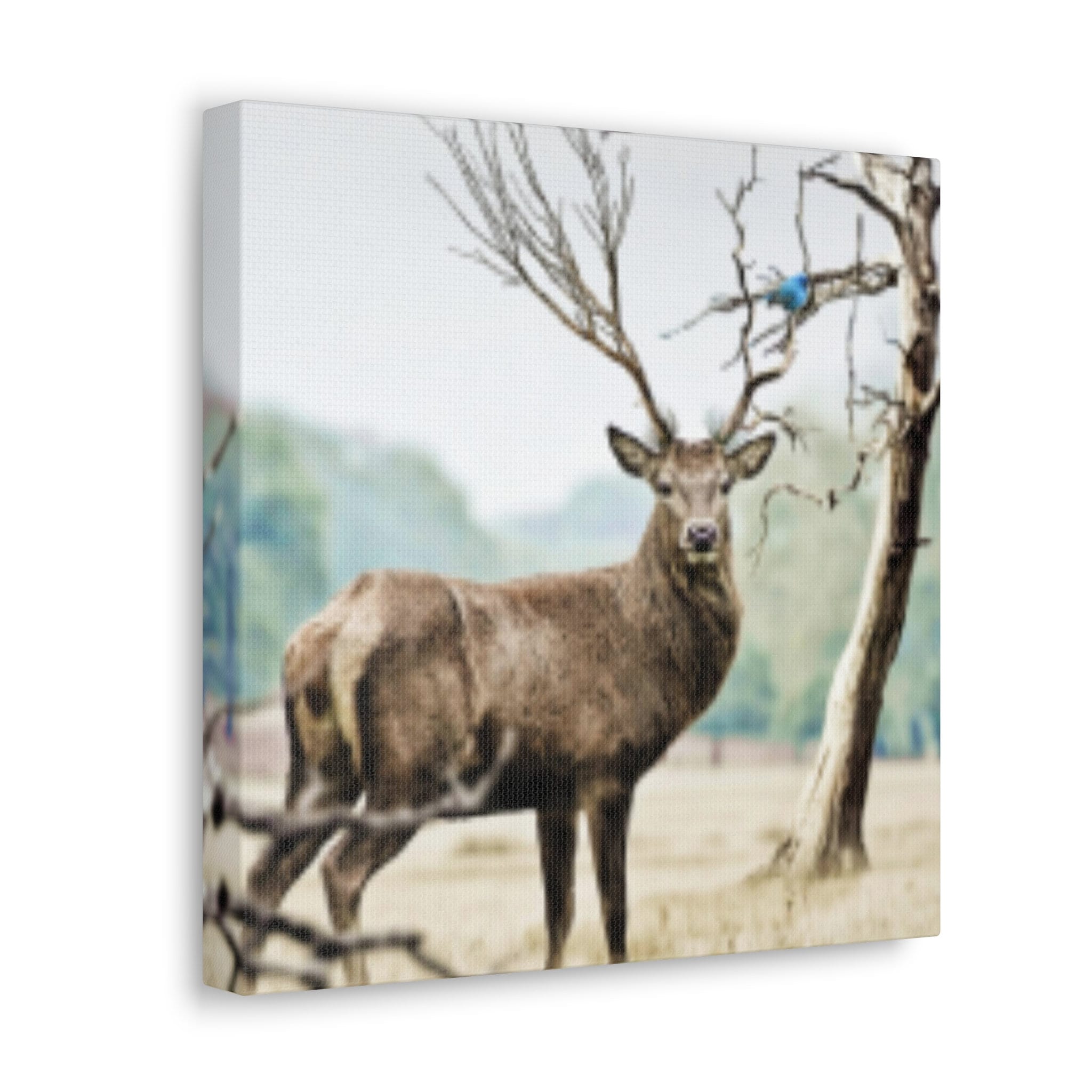 Deer in the Forest,deer in the Woods,deer Canvas Print,herd of Deer ...
