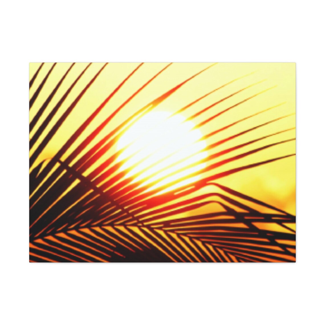 Sun Shining Through Palm Leaves Canvas Printsun Shining In The Sky Canvas Printcanvas Print Of