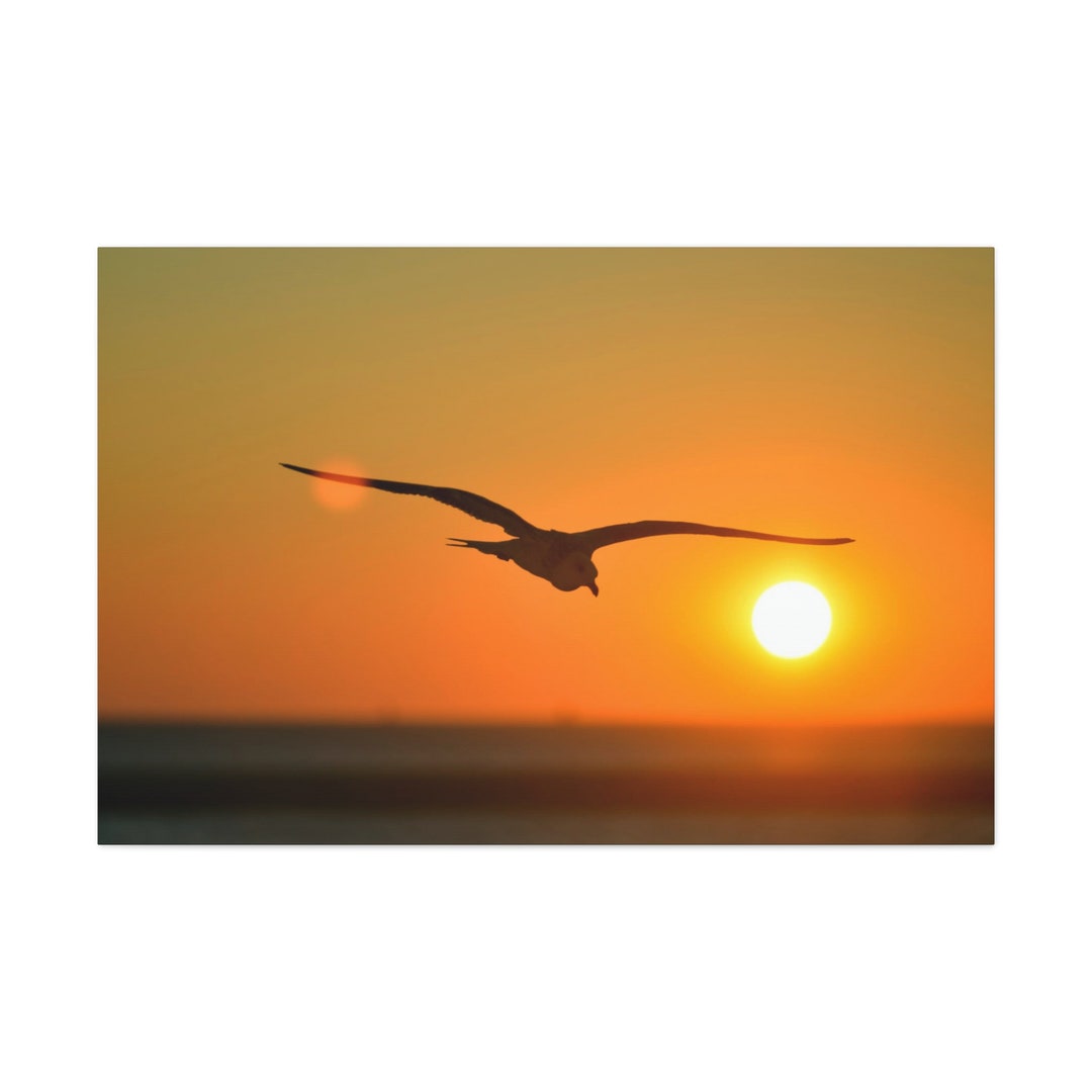 Seagull Flying Into Sun Canvas Print,sunrise Sunset Canvas Print ...