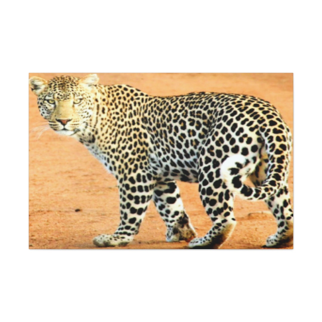 Leopard Wall Art,leopard Printing on Canvas,leopard Wall Decor,leopard ...