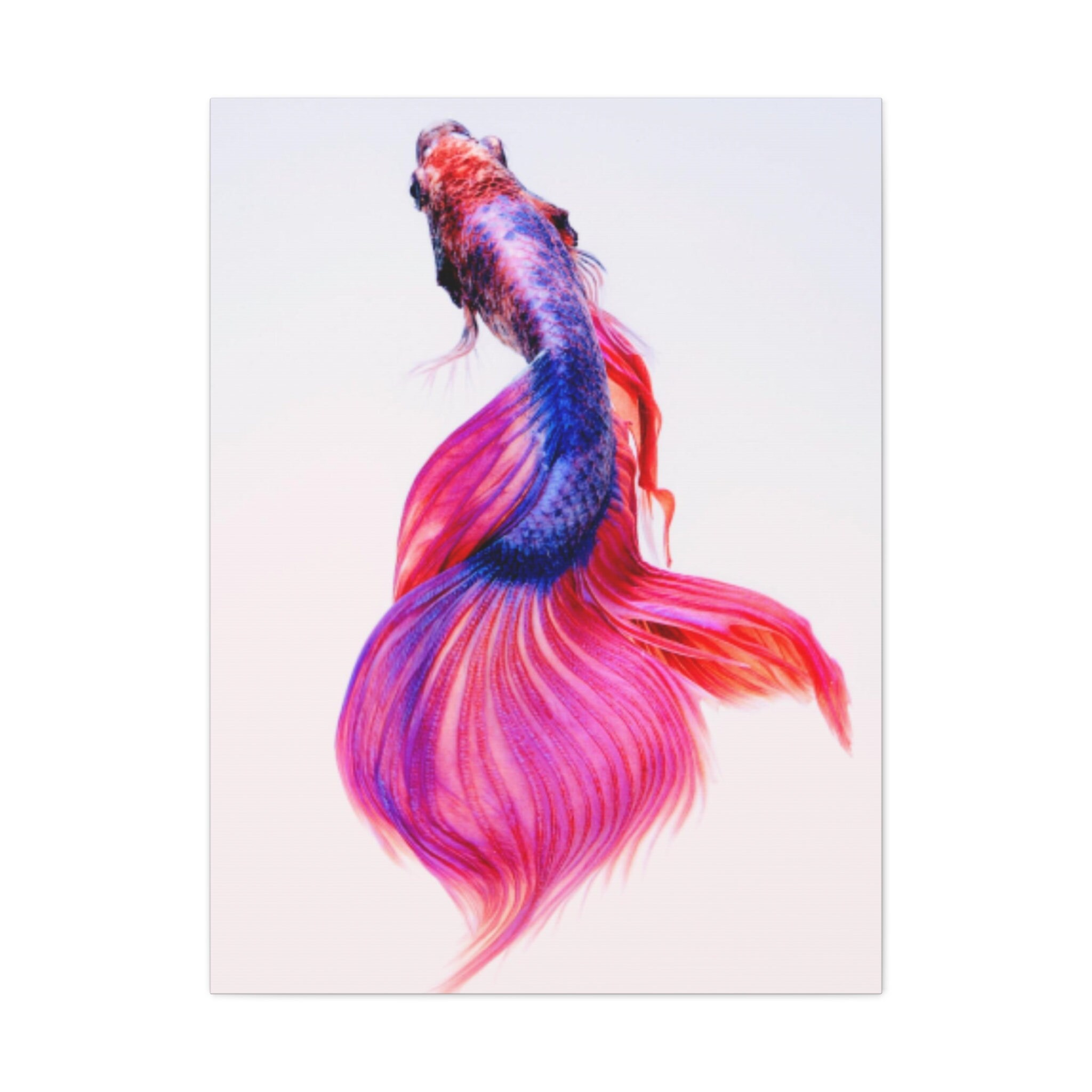 Japanese Koi Fish Canvas,feng Shui Koi Fish,koi Fish Canvas Print ...