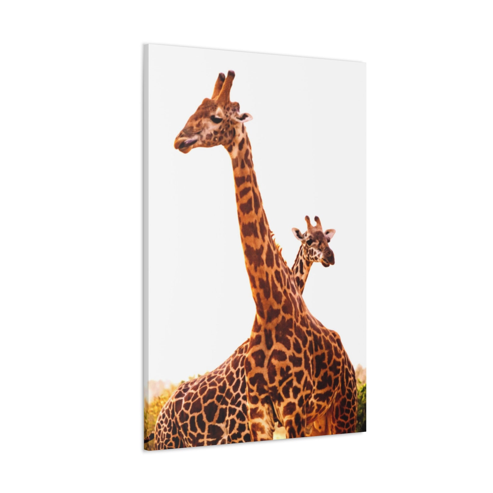 2 Giraffe Canvas Print,giraffes Canvas Wall Art,african Wall Art ...