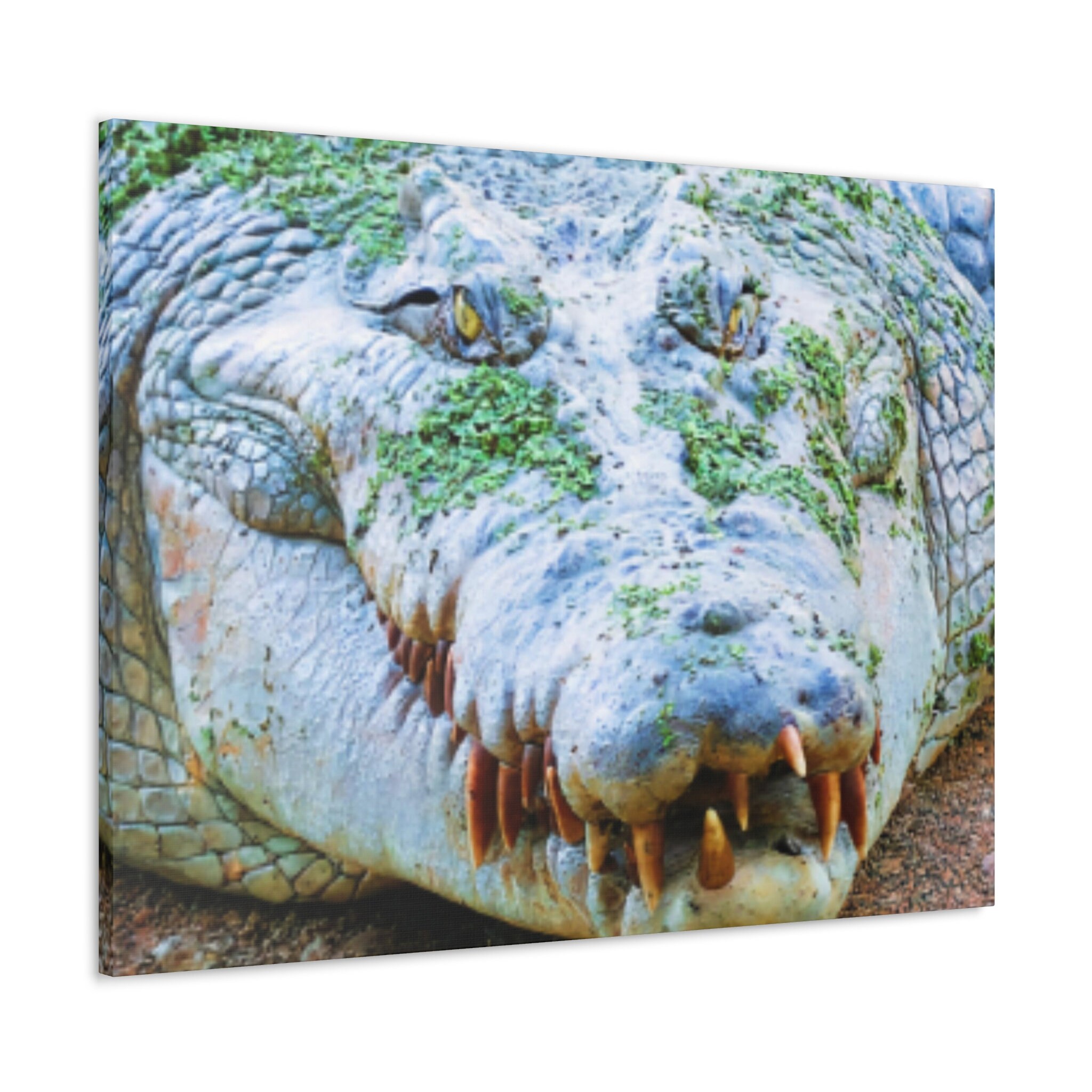 Crocodile Print,crocodile Wall Print,crocodile Decor,crocodile Print ...