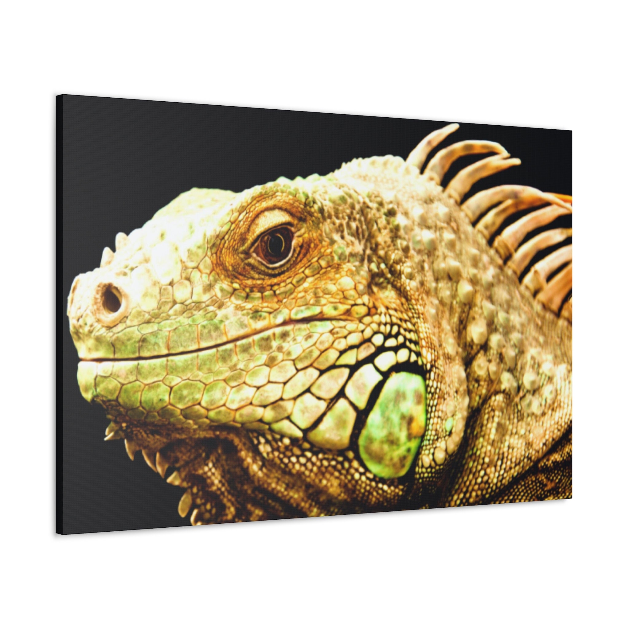 Iguana Print Canvas,lizard Painting on Canvas,iguanas Decor Wall ...