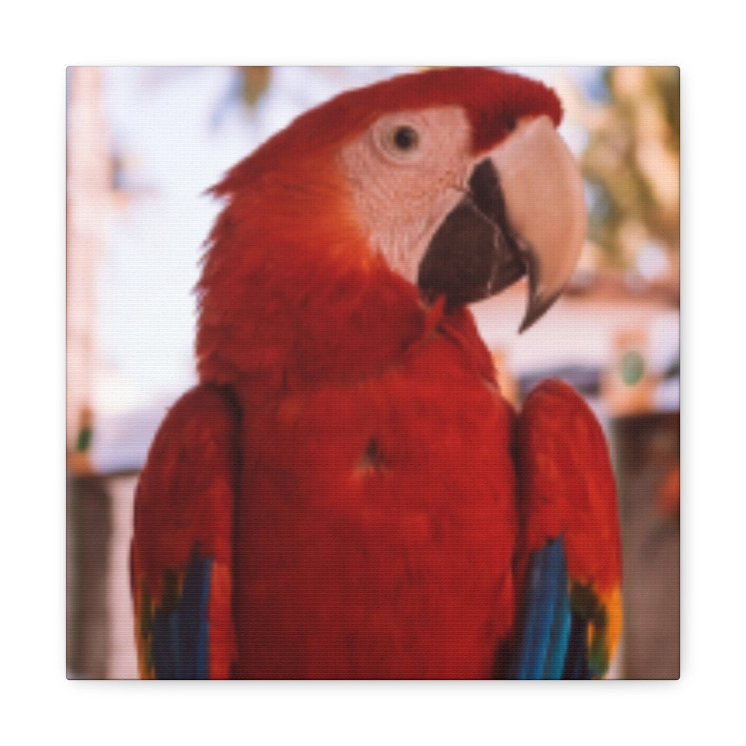 Parrot Canvas Print,colorful Parrot Picture,colorful Parrot Print ...