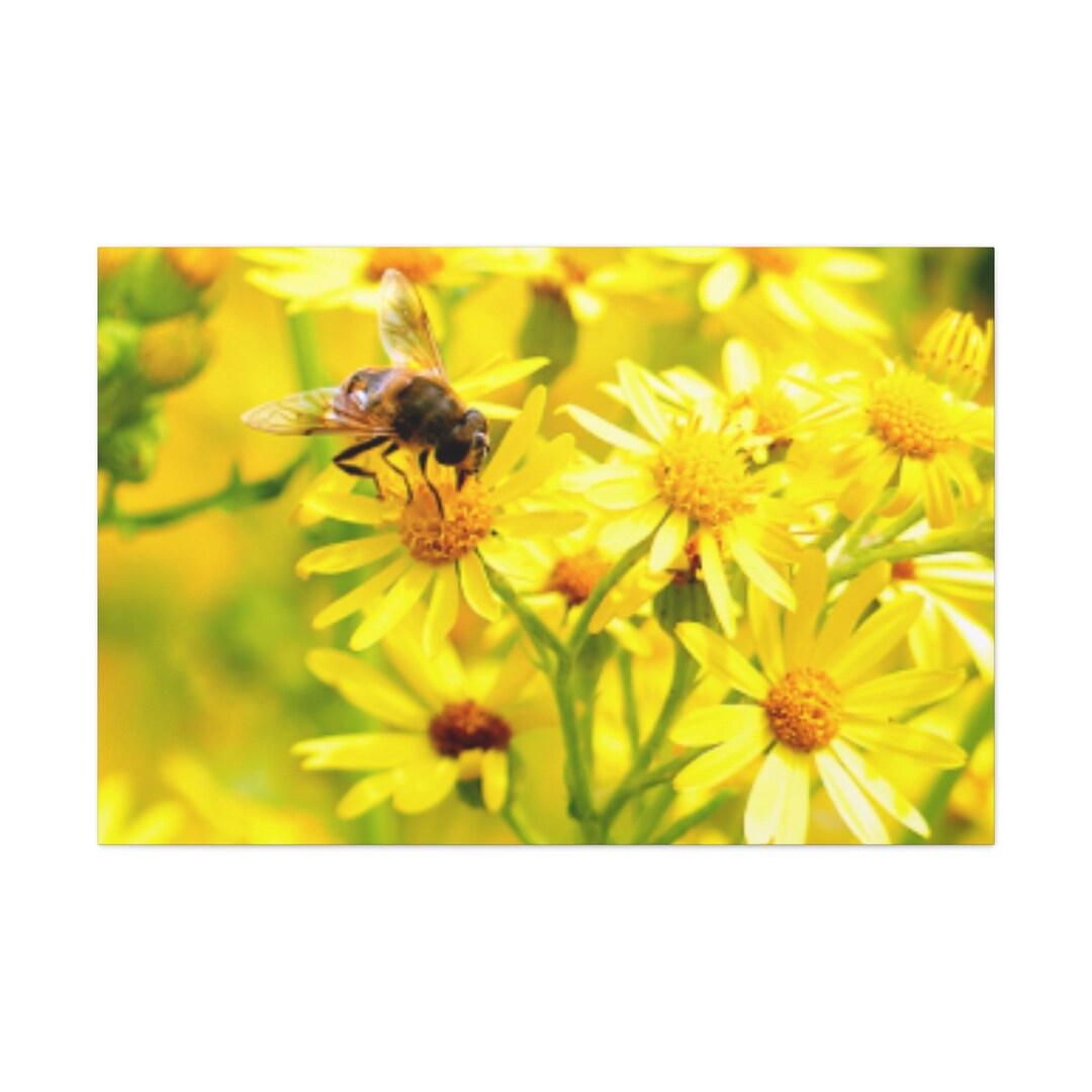 Yellow Flowers With Bees Canvas Print,bumble Bees and Yellow Flowers ...