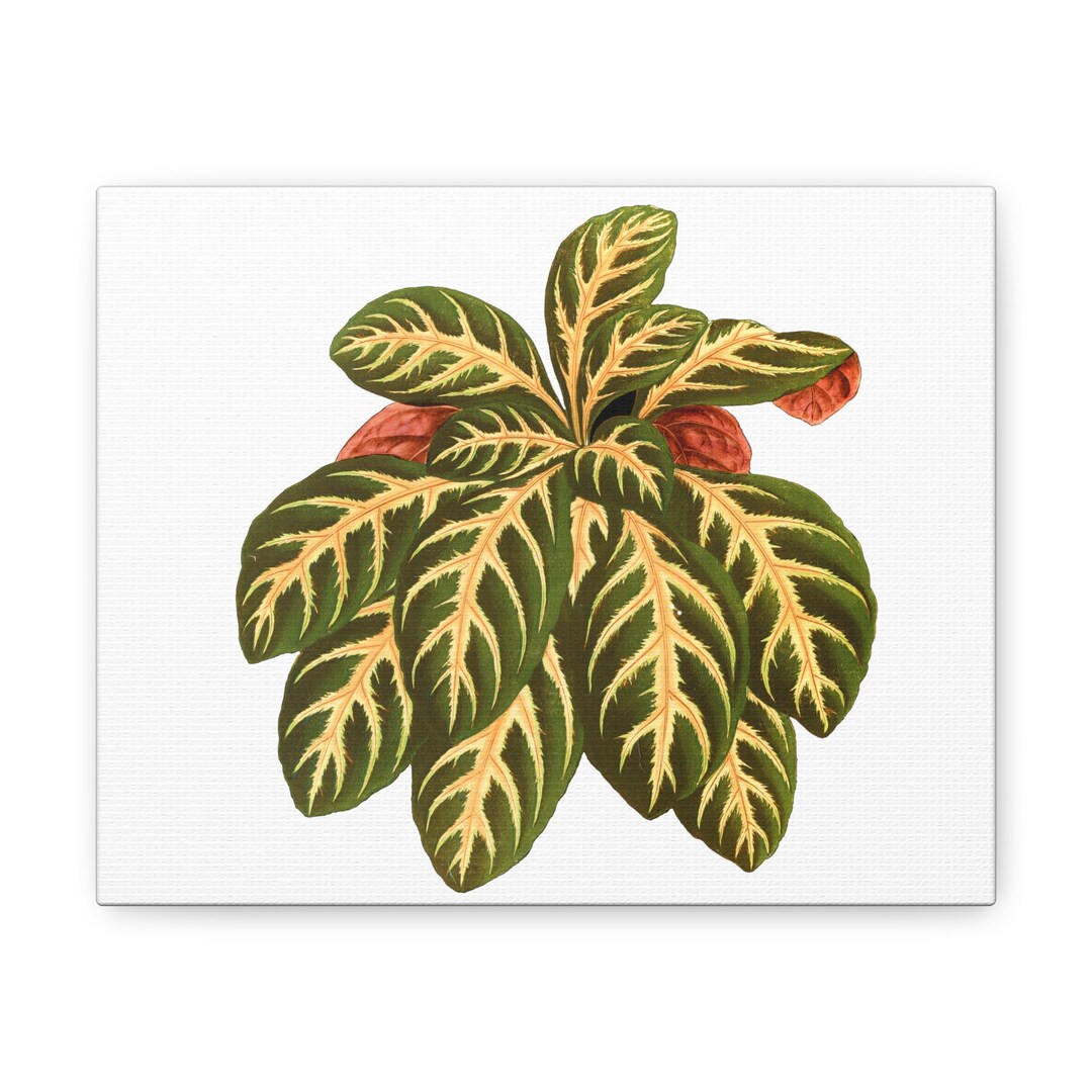 Green Plant Canvas Printgreen Leaves Art Canvas Printsgreen - Etsy