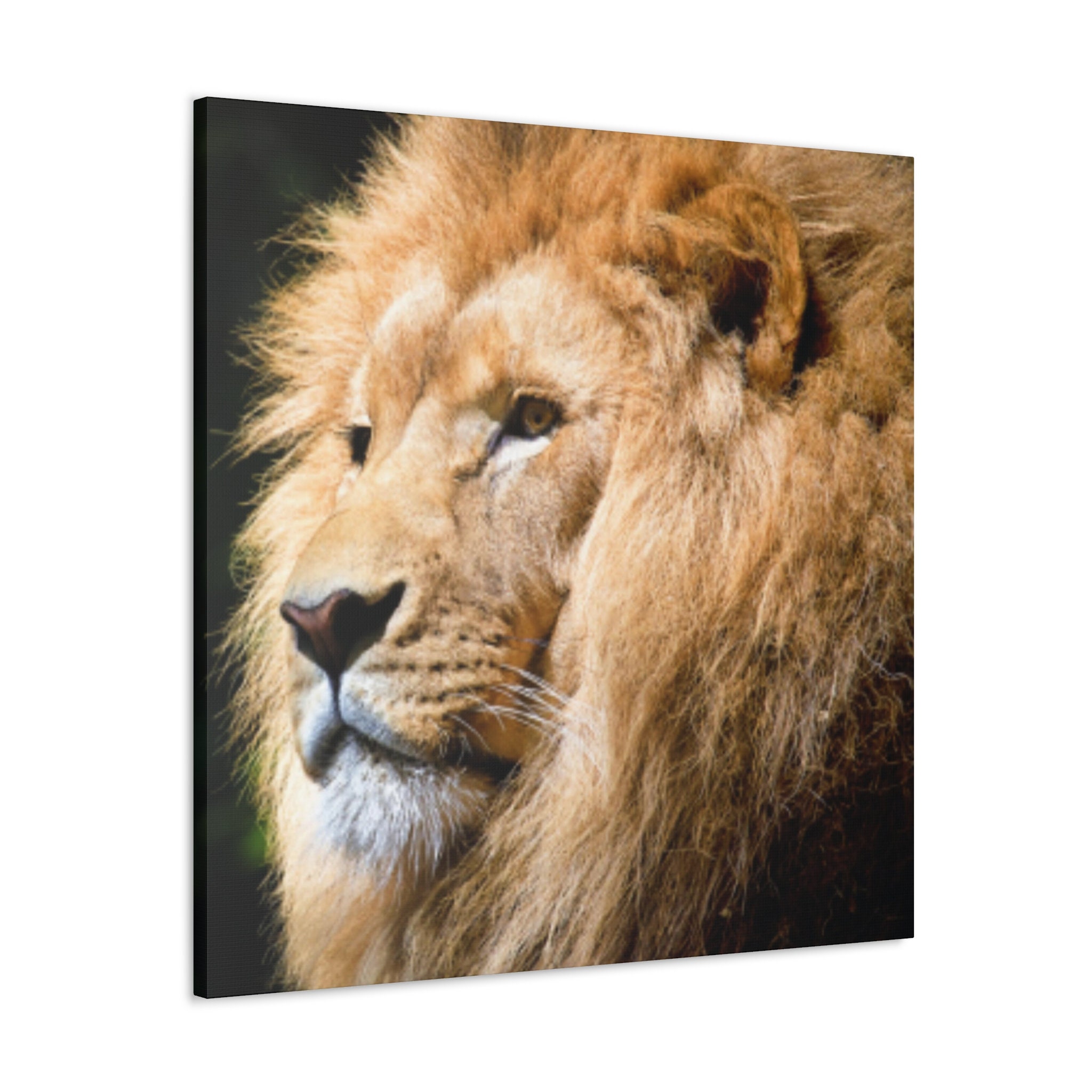 Lions Face Canvas Print,lions Canvas Print,lions Canvas Art,lions Print ...