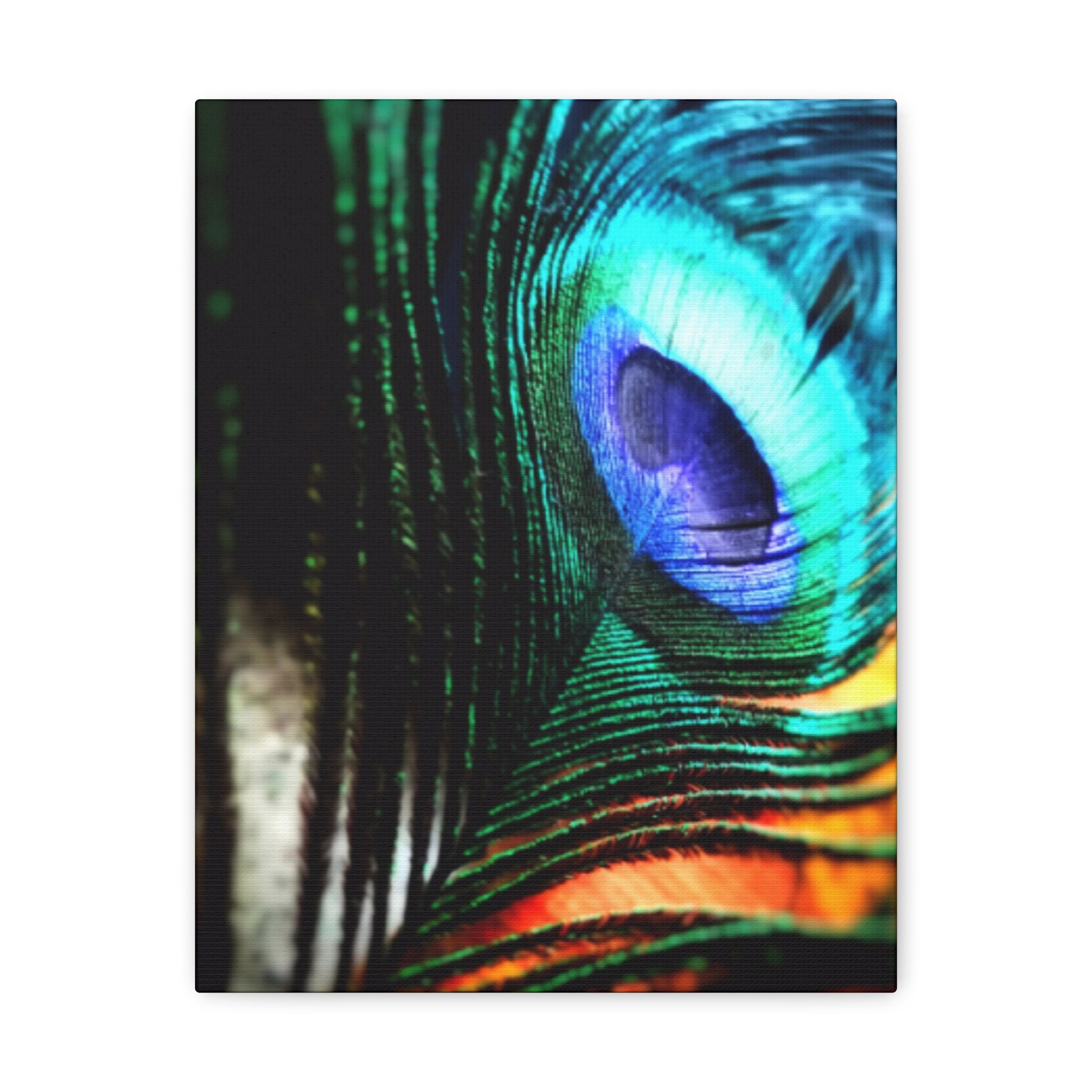 Abstract Peacock Feather Canvas Print,peacock Feathers Canvas Print ...