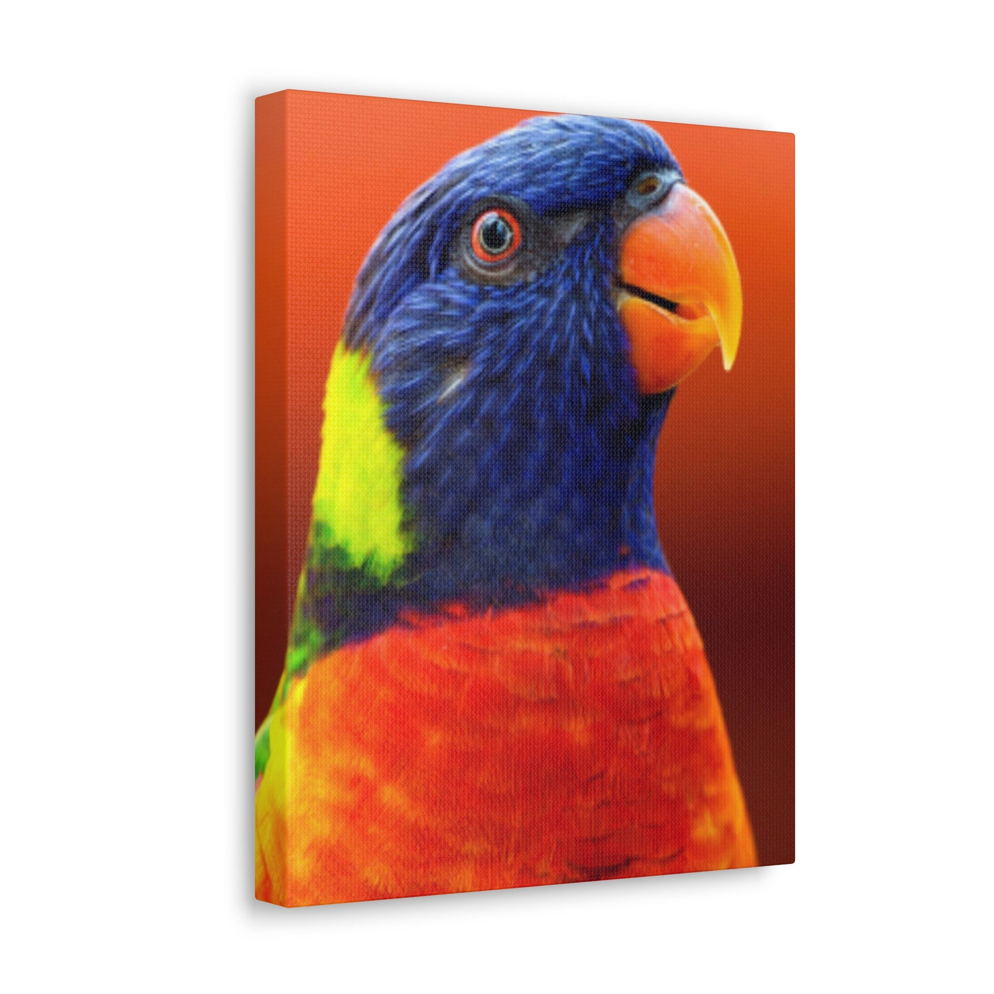 Red Parrot,parrot Canvas Print,colorful Parrot Picture,colorful Parrot ...