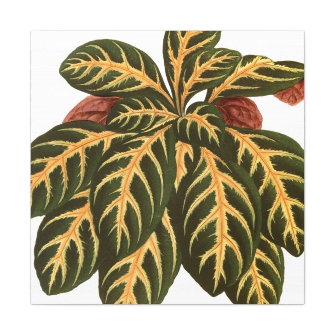 Green Plant Canvas Print,green Leaves Art Canvas Prints,green Plant ...