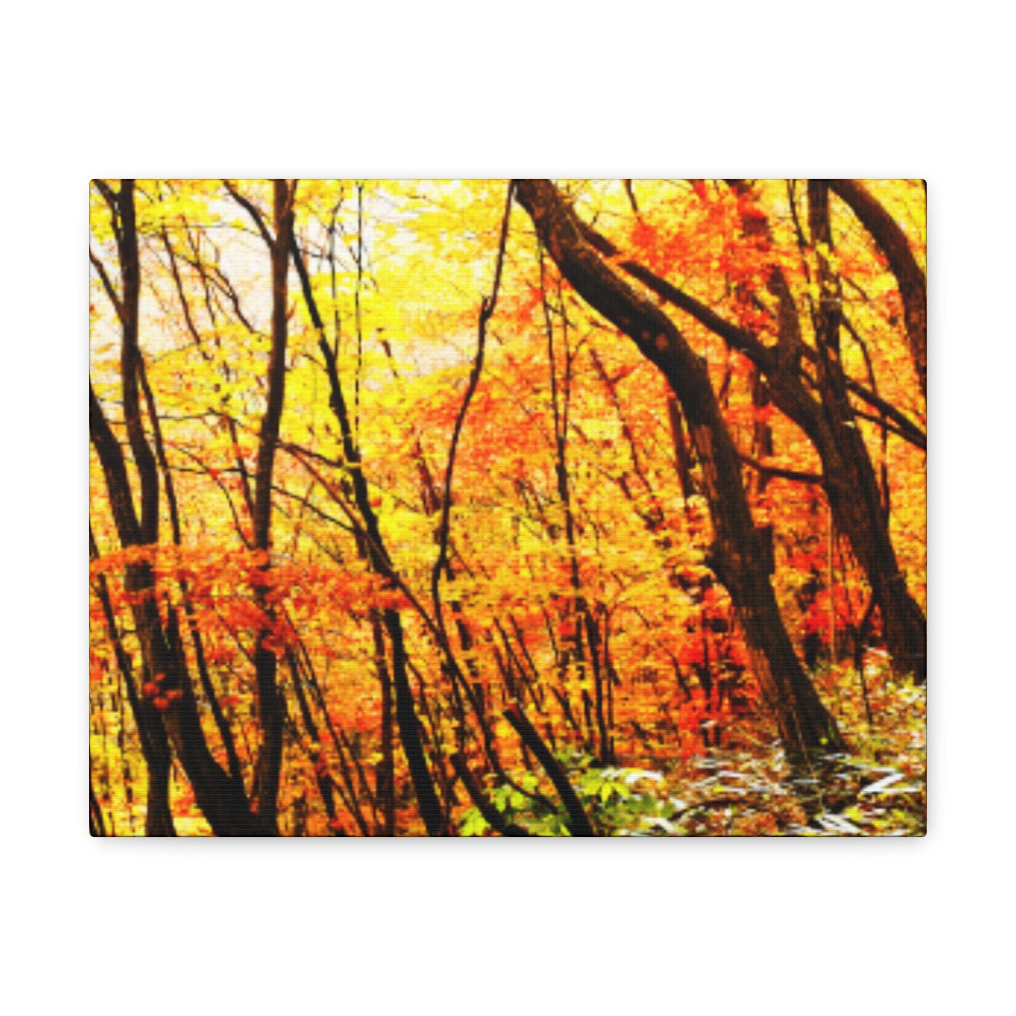 Autumn Fall Trees Canvas Print,forest Landscape Tree Wall Art,forest ...